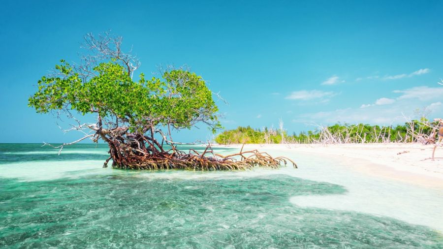 Things to do in Cuba Keys - Passporter Blog