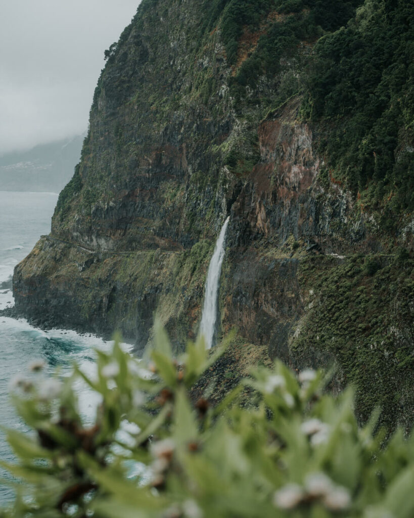 Things to do and see in Madeira Portugal - Passporter Blog