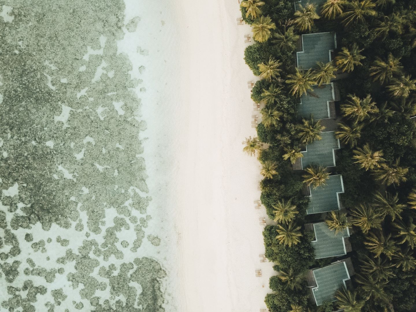 The best beaches to see in the Maldives - Passporter Blog