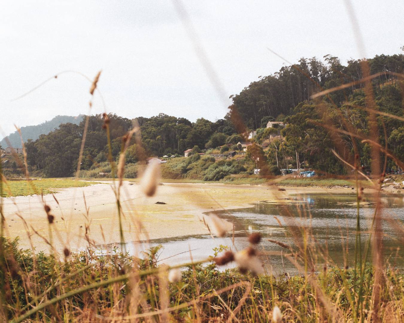 Things to do in Vigo Spain - Passporter Blog