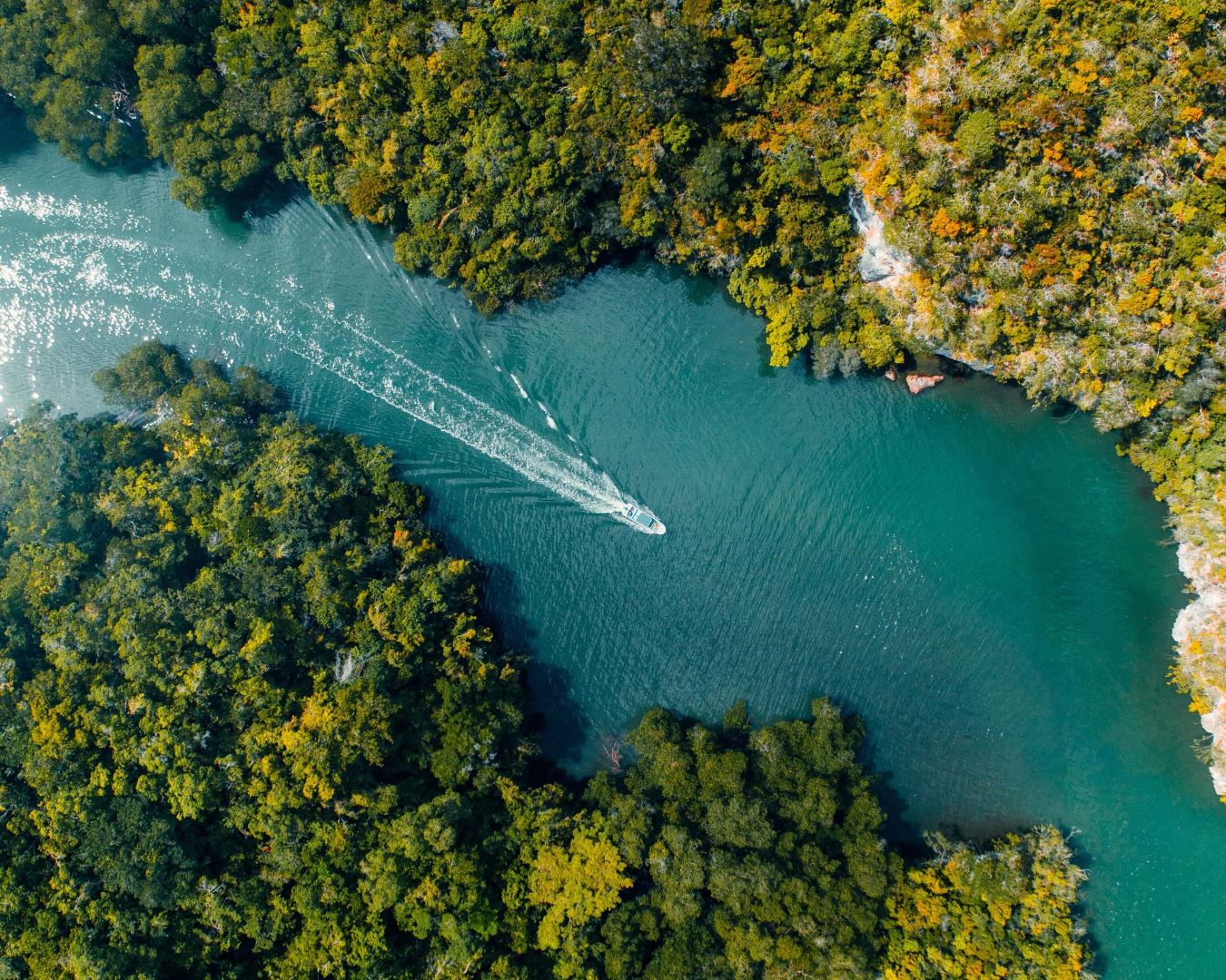 Things to do in Samana Dominican Republic - Passporter Blog