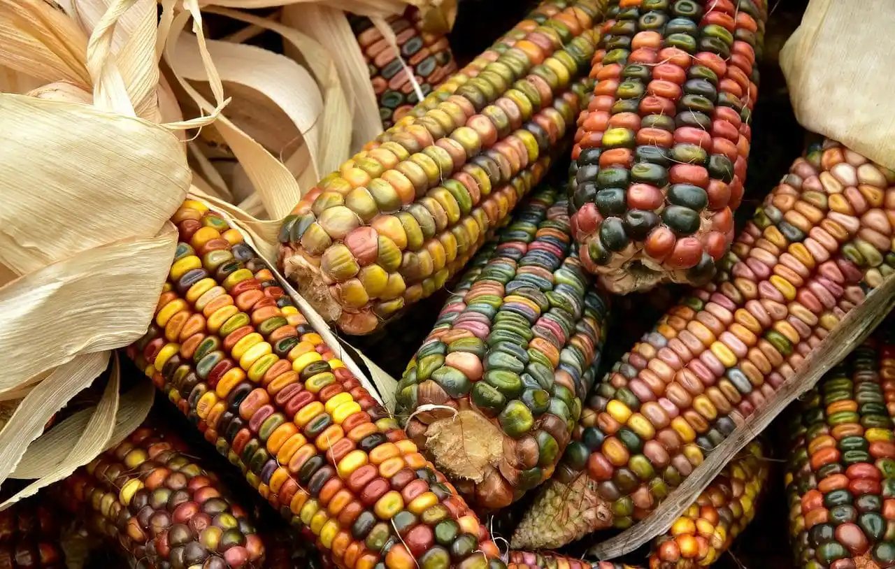 Colombia Food: What to Know and Eat - Passporter Blog