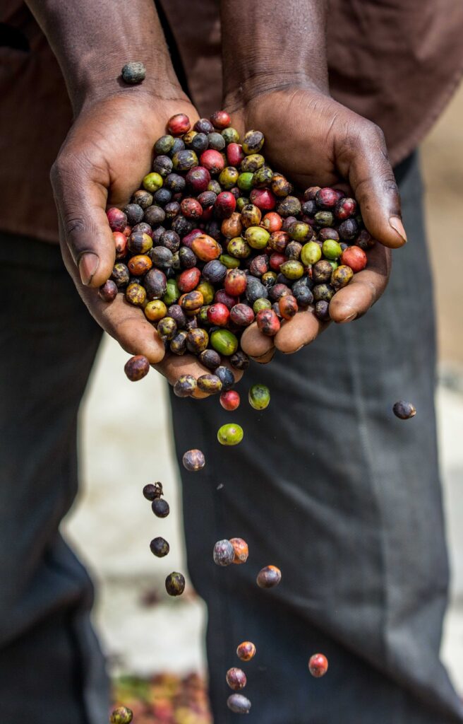 Typical Ugandan food: What and where to eat?