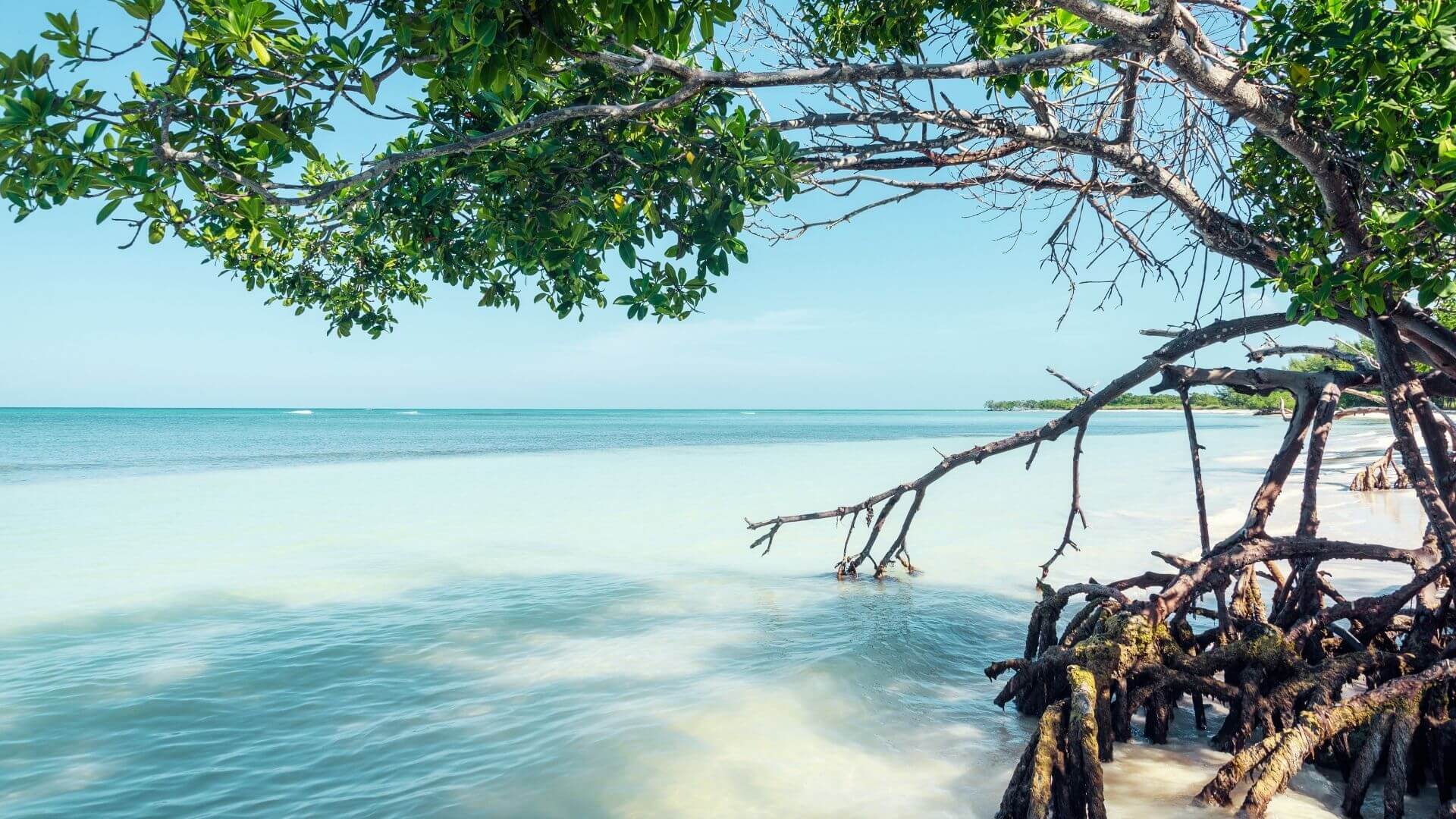 ¿Qué ver y hacer en Pinar del Río Cuba? - Passporter Blog