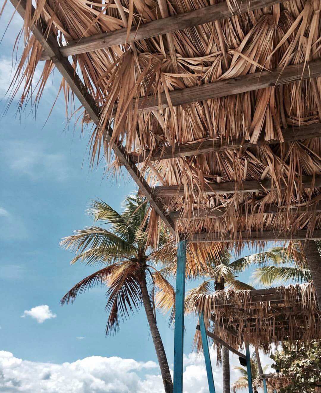 Que ver y hacer en Isla Catalina - Passporter Blog
