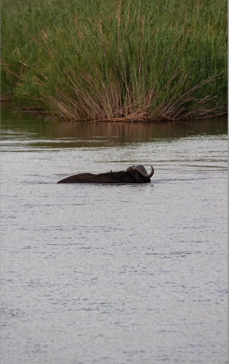 ¿Qué ver y hacer en Benguela? - Passporter Blog
