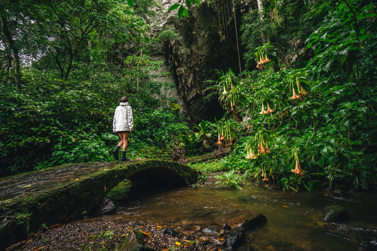 Los mejores consejos de viaje para Venezuela - Passporter Blog