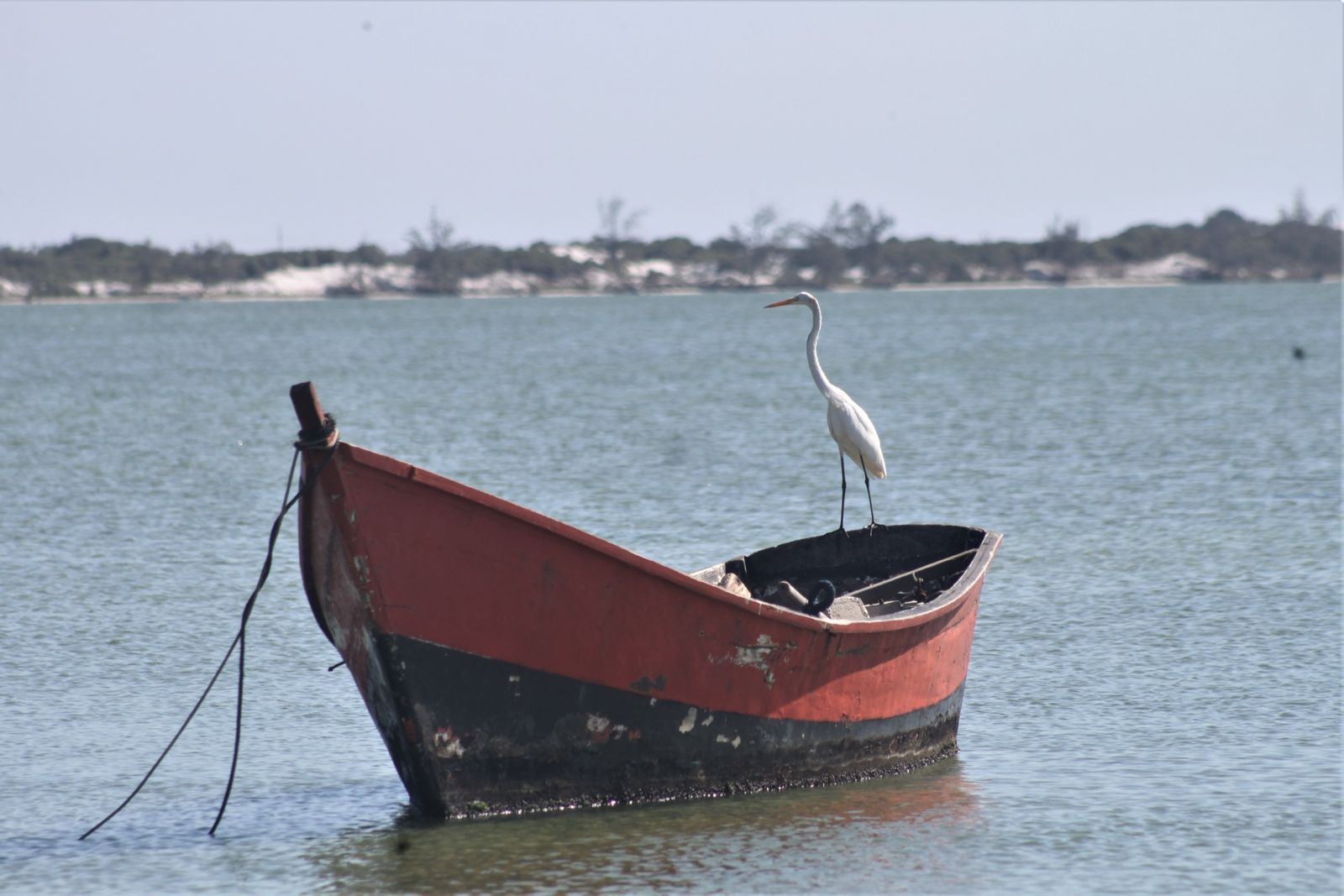 ¿Qué ver y hacer en Anzoátegui, Venezuela?