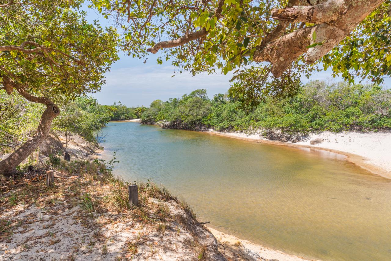 ¿Qué ver y hacer en Apure? - Passporter Blog