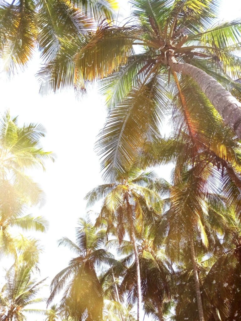 Les plages du Venezuela - Passporter Blog