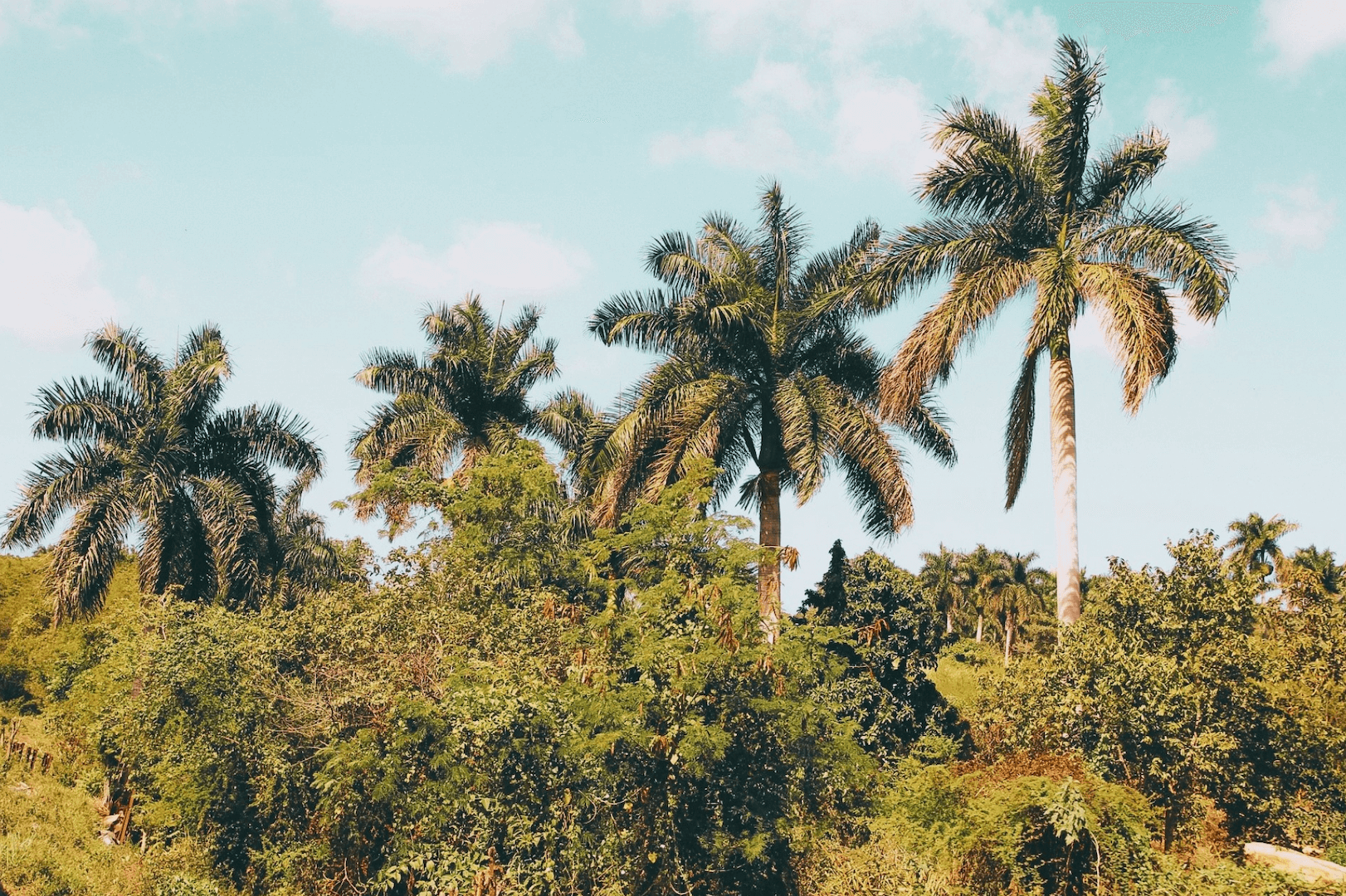 Cosa vedere a Matanzas Cuba - Passporter Blog
