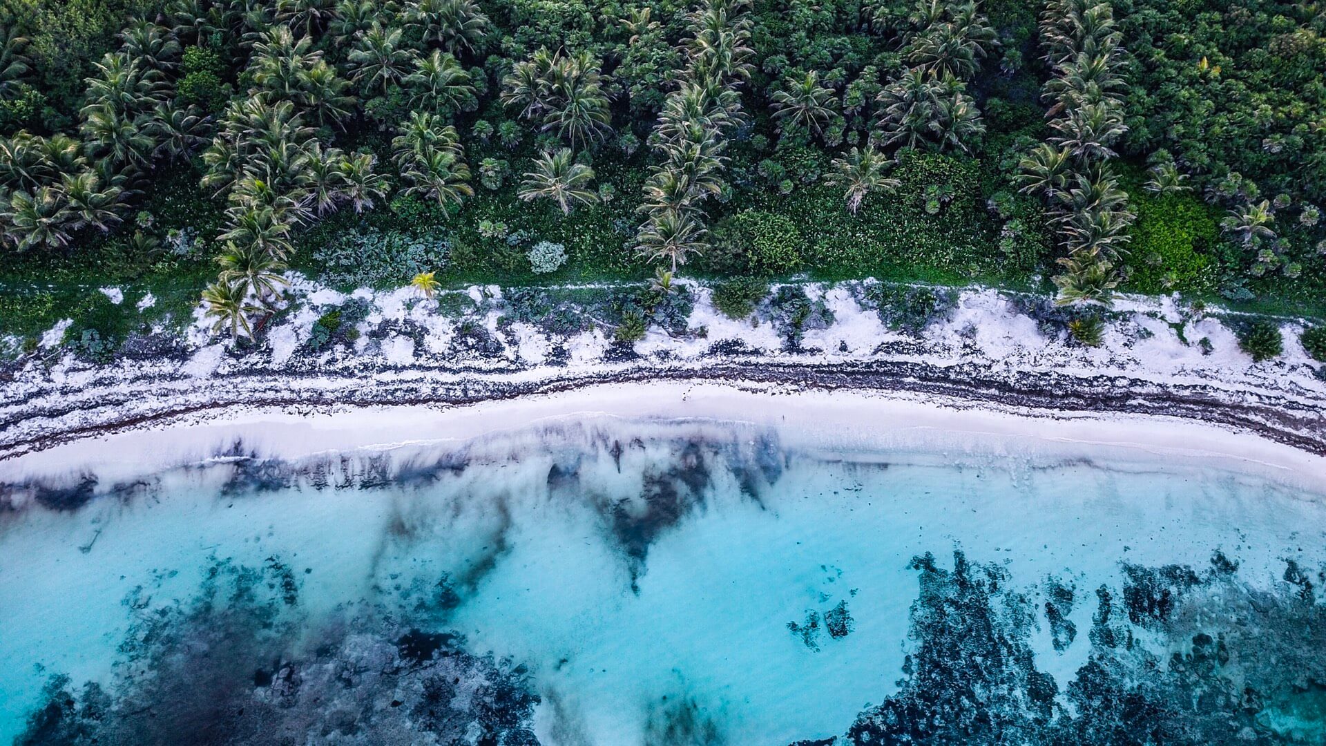 Cosa vedere a Cancun Messico - Passporter Blog