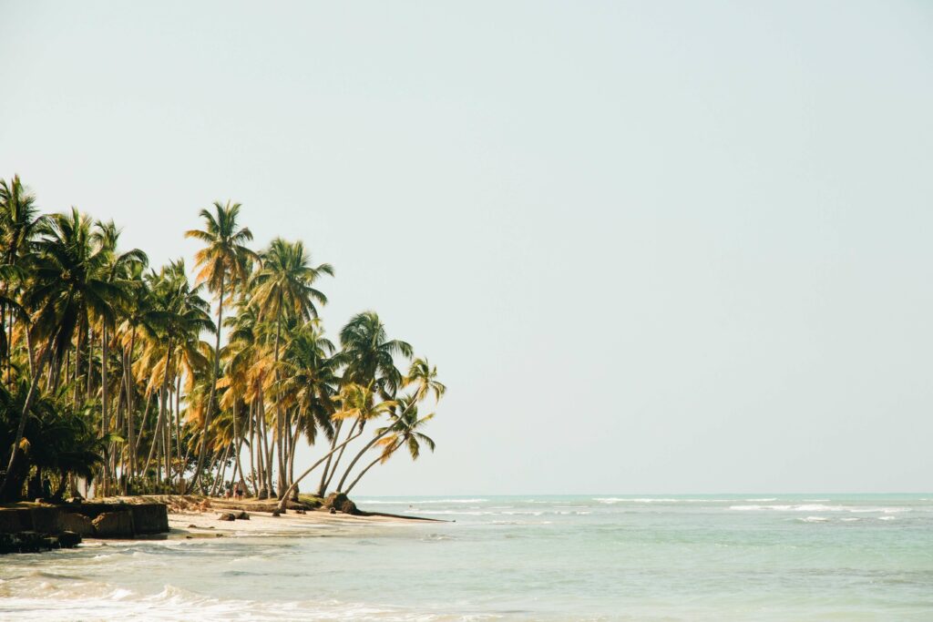 Cosa fare e vedere a Las Terrenas - Passporter Blog
