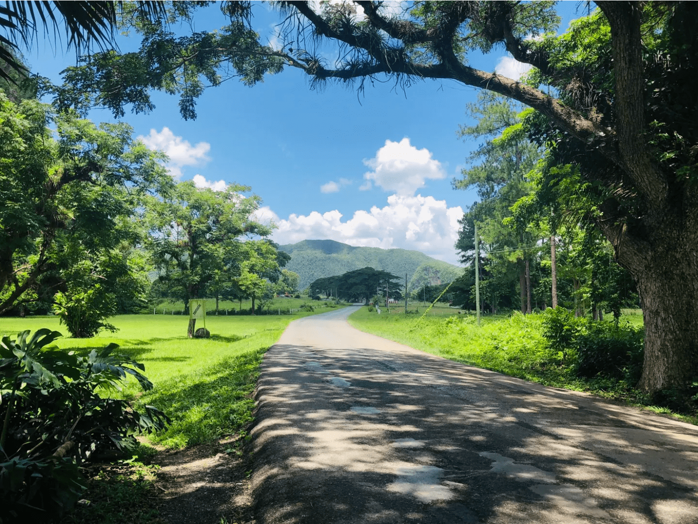 O que ver e fazer em Pinar del Río, Cuba? - Passporter Blog